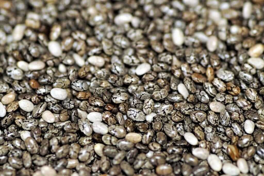 A Tiny Superfood: 10 Surprising Health Benefits of Chia Seeds - The Art ...