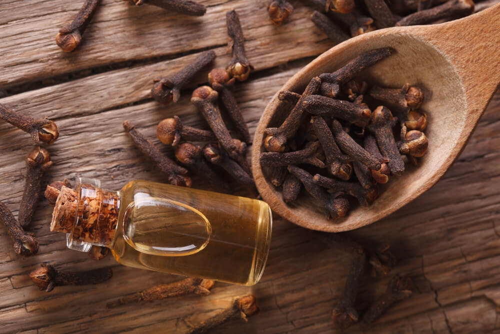The 10 Most Incredible Health Benefits of Cloves - The Art of Anti-Aging