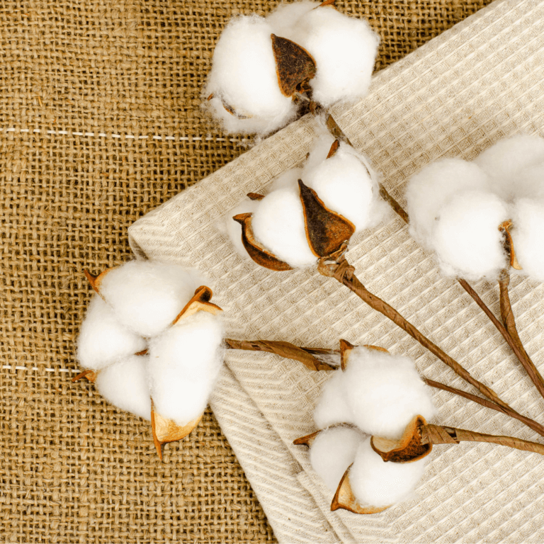 Toxic Clothing: Common Health-Hazardous Fabrics and What to Choose ...