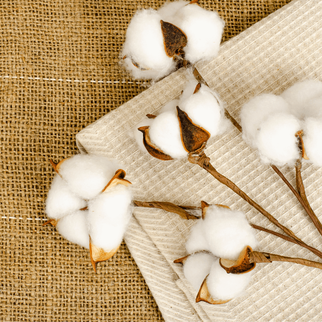 Toxic Clothing: Common Health-Hazardous Fabrics and What to Choose ...