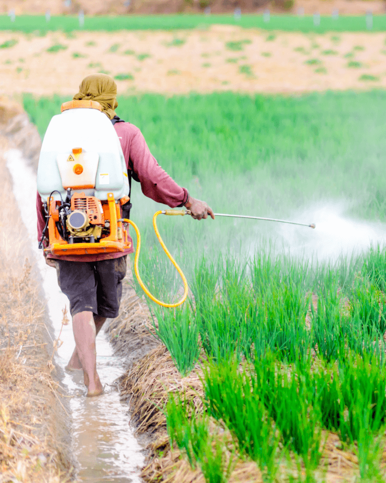 Glyphosate: What Is It, Where It Hides, And How To Protect Yourself ...