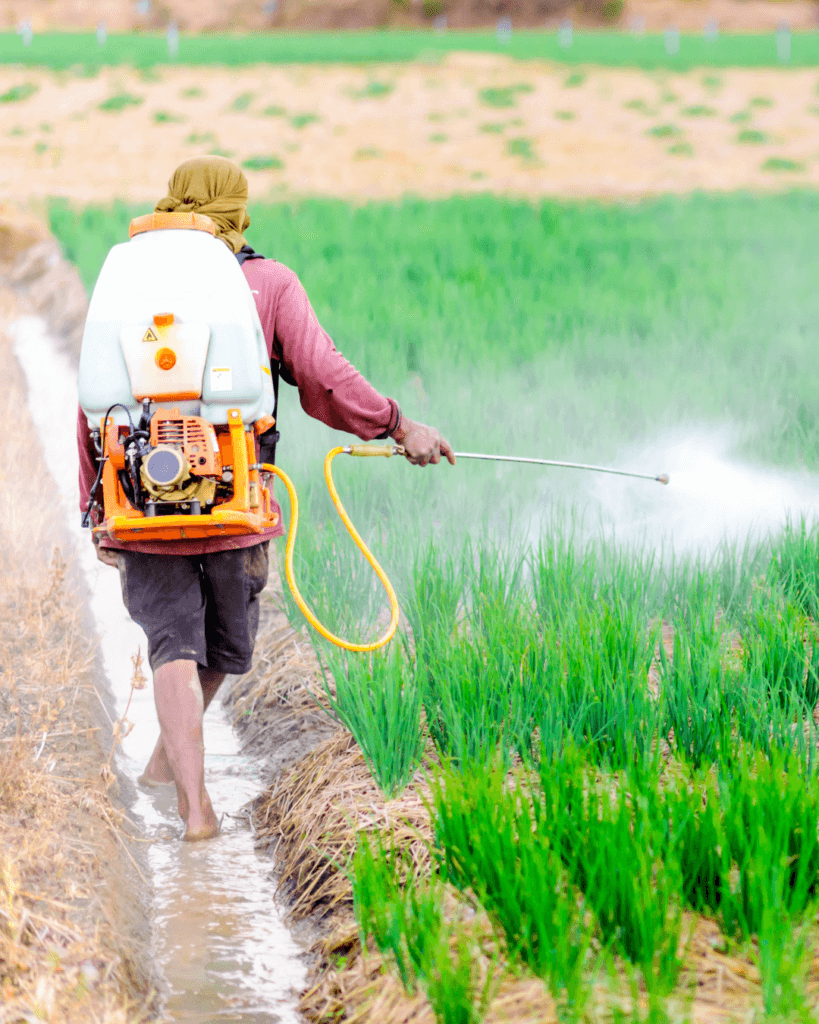 Glyphosate: What Is It, Where It Hides, And How To Protect Yourself ...