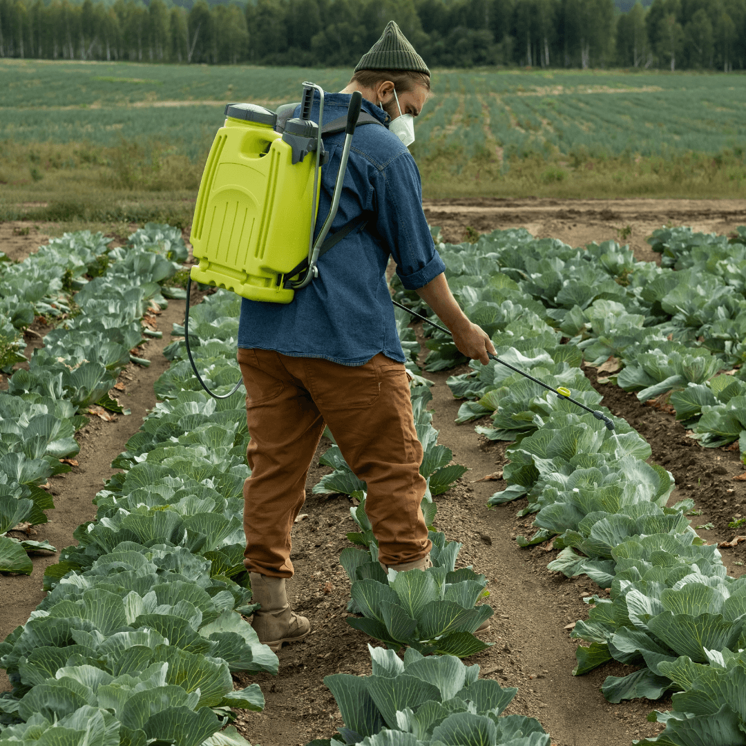 What Really Is “Organic”? (Here Is Everything You Need to Know) - The ...